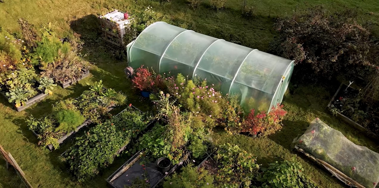 Moestuin beginnen? In 6 eenvoudige stappen naar je eerste oogst