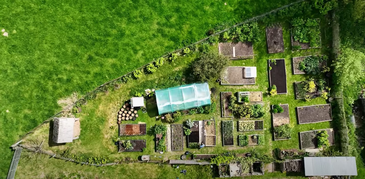 Moestuin indeling voor beginnende tuinders | Moestuin aanleggen